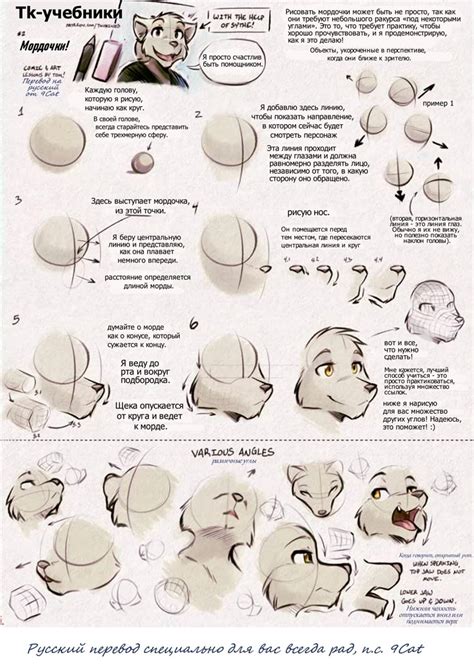 The Universal Academy Of The Furry Arts • Rfurryartschool Rus Furry
