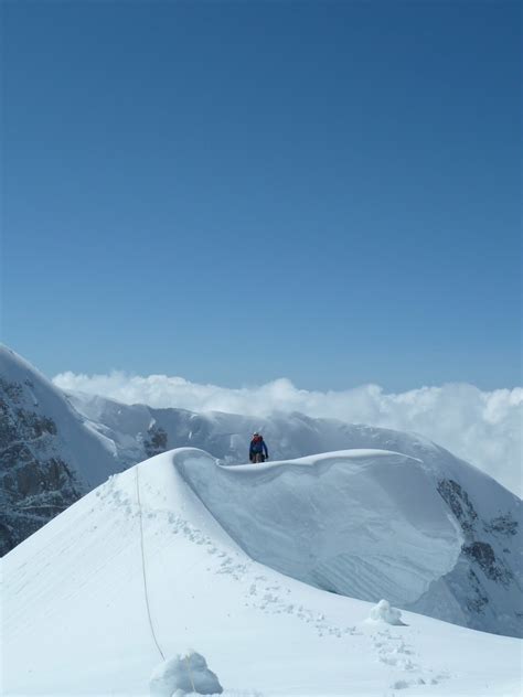 Tom Ripley The Gear For The Cassin