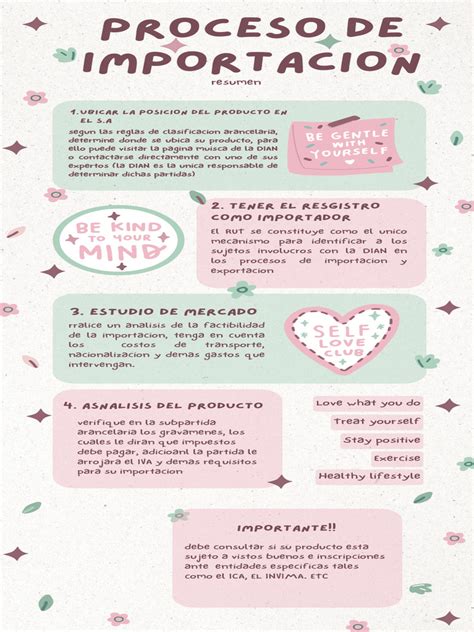 Infografia Proceso de Importacion | PDF | aduana | Economias