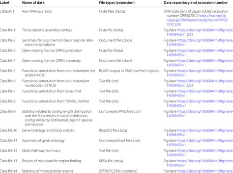 overview of data files dataset download scientific diagram