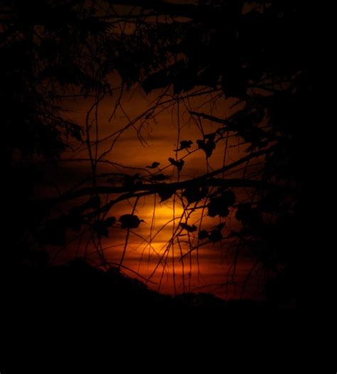 Early Dawn Dawn Silhouette Photography Scenery