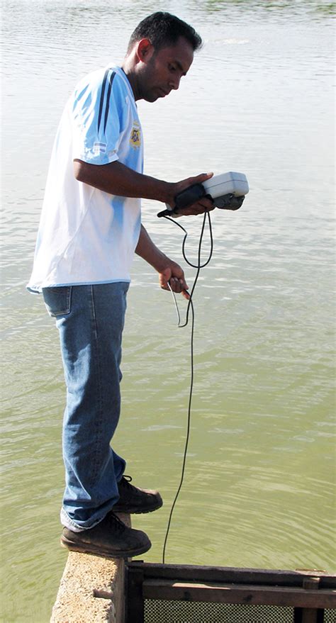 Dissolved Oxygen Concentrations In Pond Aquaculture Responsible Seafood Advocate