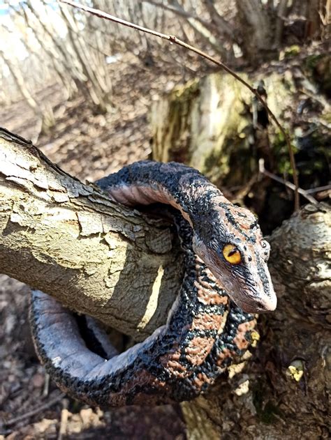 Realistic Python For A Photo Shoot Handmade Doll Art Doll