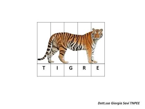 Tiger Crossword Puzzle