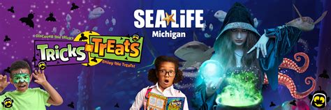 Archived Sea Life Presents Tricks Or Treats Halloween Event For