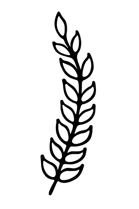 Premium Vector Single Branch With Leaves In Ink Isolated On White