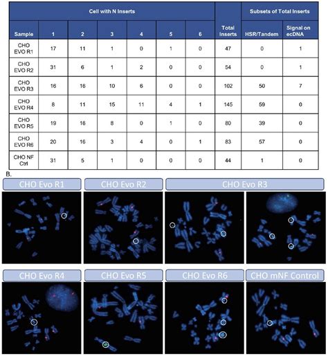 Kromatid™ Inc On Linkedin Dgh In Site™ Can Target Unique Dna
