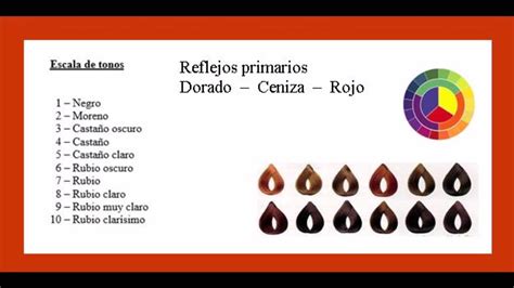 Crear Tu Propia Carta De Color De Tintes Para El Cabello Con Tonos