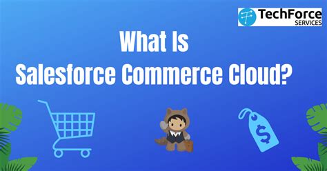 Salesforce Consulting And Advisory Services Techforce Services