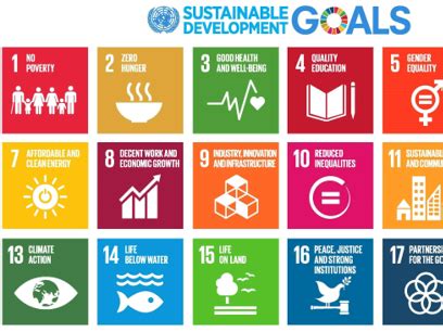 United Nations Sustainable Development Goals Introducing And Embedding