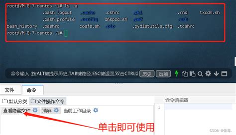 常用的远程终端工具（finallshell和xshell）finalxshell Csdn博客