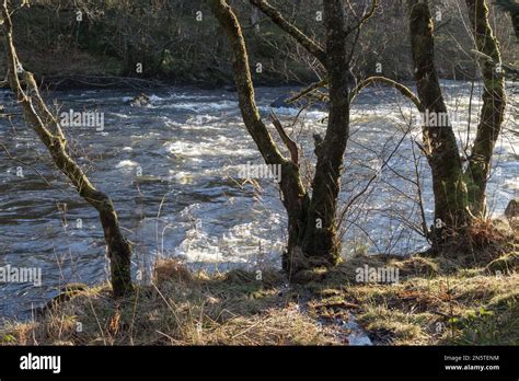The Rapids Of The Falls Of Leny On The River Leny Aka Garbh Uisge From The Rob Roy Way At The