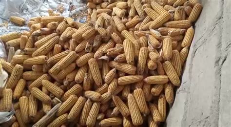 Chinige Technology Posted On Linkedin