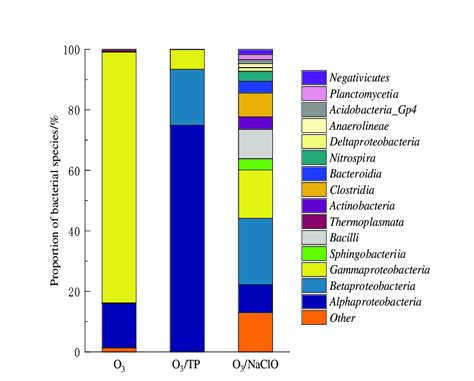 Colony Structure At Class Level Download Scientific Diagram