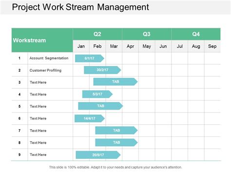 Project Work Stream Management Ppt Powerpoint Presentation Inspiration
