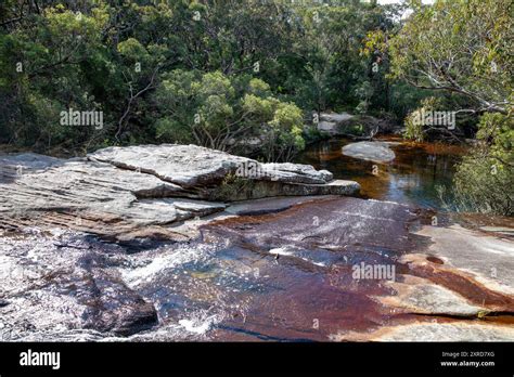 Deer Pool In The Royal National Park On The Bundeena Drive To Marley Beach Walk Trail South