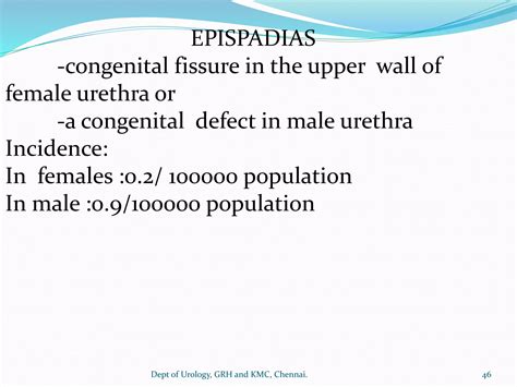 Urinary Bladder Anomalies Congenital Pdf