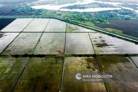 Выращивание риса в Краснодарском крае | РИА Новости Медиабанк