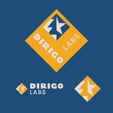 Design For Dirigo Labs — All Over It