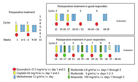 Os Inc 2009 Treatment Scheme At The Instituto Nacional De Cancerología