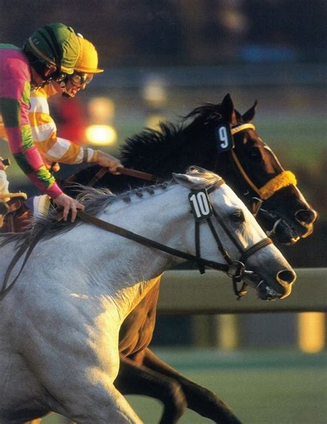 1000 Images About Famous Racehorses On Pinterest