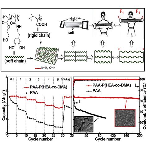 Silicon Microparticle Anodes With Self Healing Multiple Network Binder Joule