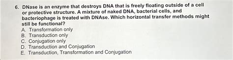 Solved Dnase Is An Enzyme That Destroys Dna That Is Freely