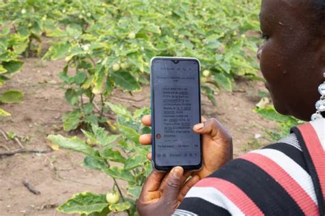 The Income Accelerator Program The Nestle Cocoa Plan