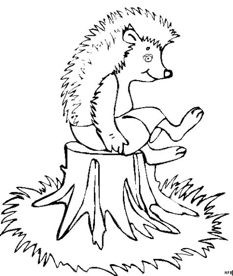 Igel Auf Baumstumpf Ausmalbild And Malvorlage Tiere