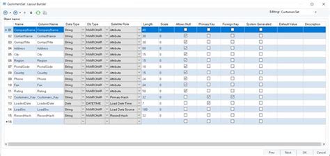 Raw Vault Entities — Data Warehouse Builder 10 Documentation