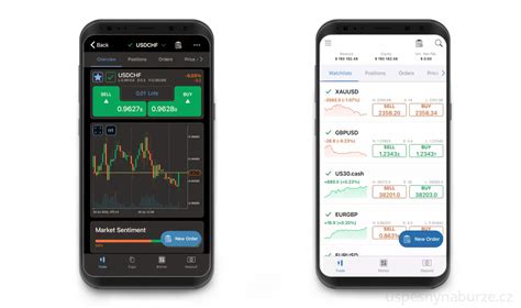 Ic Markets Recenze Je Nejlepší V 2025 Popis Poplatků