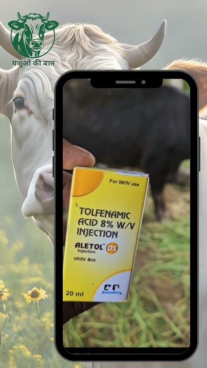 Aletol Ds Tolfenamic Acid 8 गम्भीर दर्द सूजन एठन की इंजेक्शन