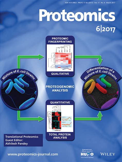 Silac‐based Quantitative Proteomic Analysis Reveals Widespread