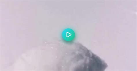 Weeeeeeee Album On Imgur