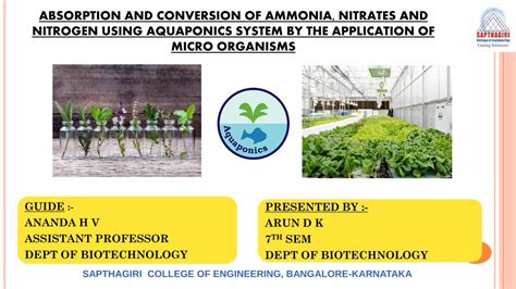 Pdf Isolation And Identification Of Microbes For · Absorption And