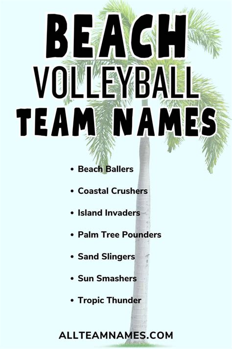 Team Names For Volleyball