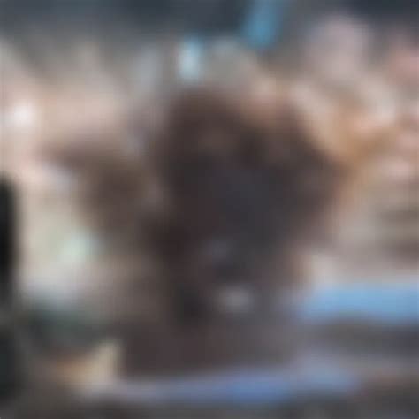 Understanding Tympanogram Typing A Complete Guide