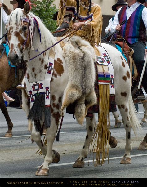 Native American War Horses