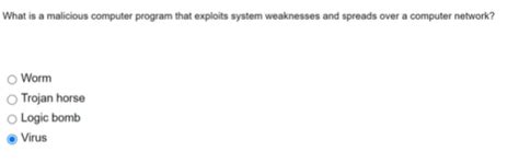 Solved What Is A Malicious Computer Program That Exploits