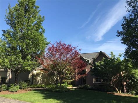 Jane Siddons Herrmann Real Estate Agent Pittsburgh Pa Berkshire Hathaway Homeservices