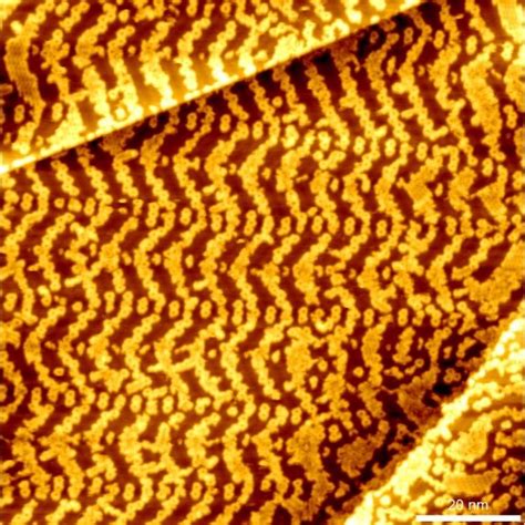 Figure S7 Large Scale Stm Image Showing The Molecular Self Assembly