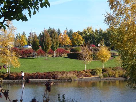 Photo Gallery Murrayhill Owners Association Beaverton Oregon
