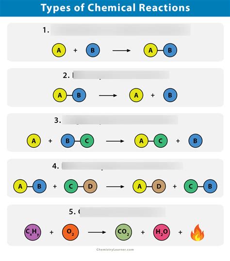 Summer School Review Diagram Quizlet