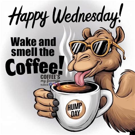 Wednesday Coffee Humor Hilarious