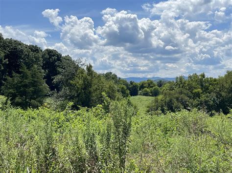 165 Acres In Greene County Tennessee