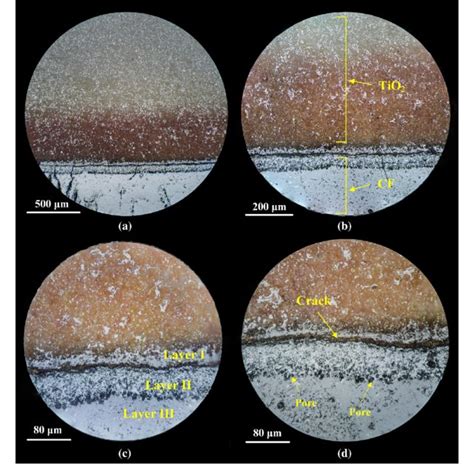 Nterfacial Microstructure Of The Different Samples Observed By Optical