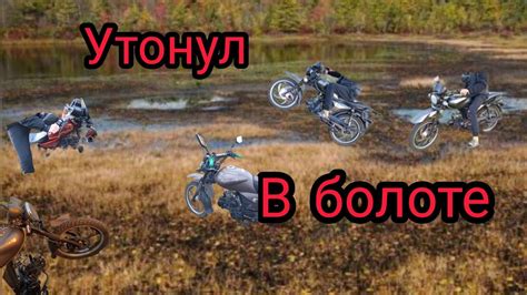 Утопил Мотоцикл в болоте/// Сломал ножку /// Мустанг динго - YouTube