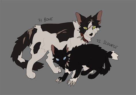 Scourge And Bone 猫
