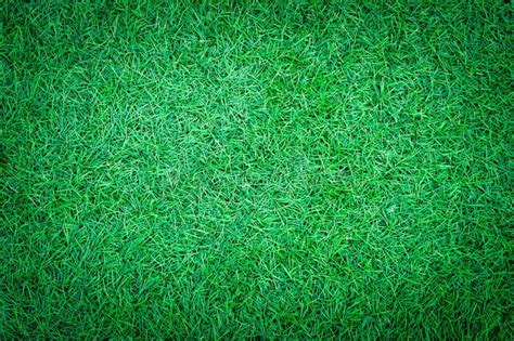 Abstract Texture Of Green Grass Yard Background Stock Image Image Of Landscape Beautiful