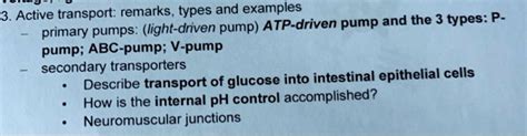 3 Active Transport Remarks Types And Examples Primary Pumps Light Driven Pump Atp Driven Pump